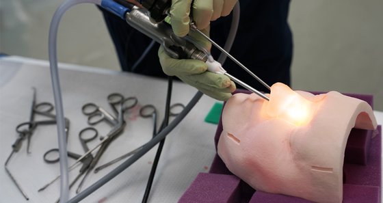 Residents from across TMC get hands-on instruction at first endoscopic ...