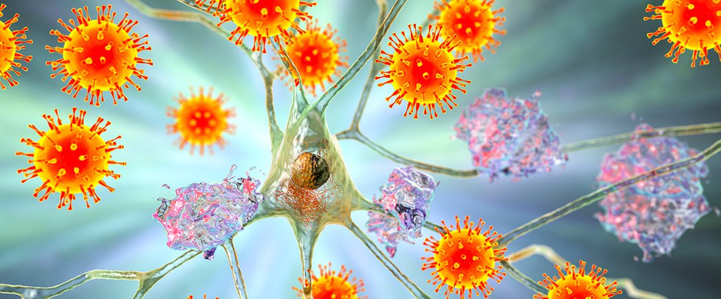 COVID-19 Infection in Crucial Brain Regions May Lead to Accelerated Br
