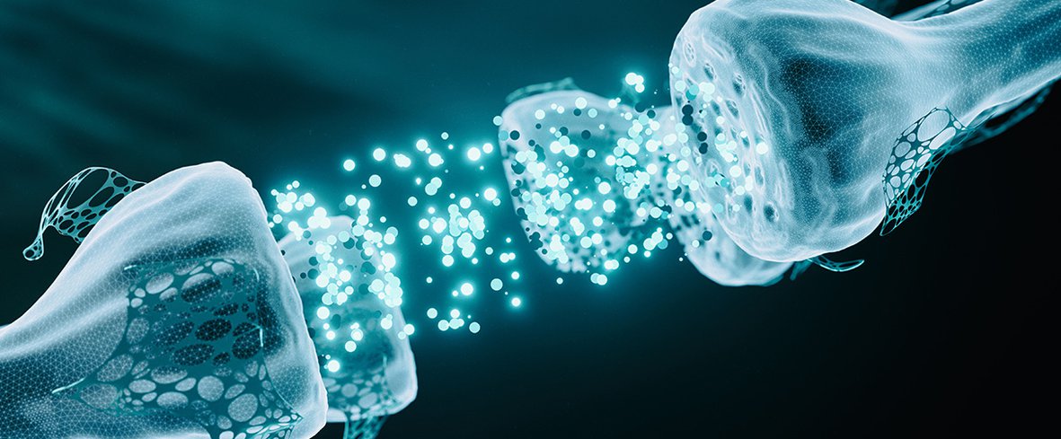 Do Motor Neurons First Die in the Brain?