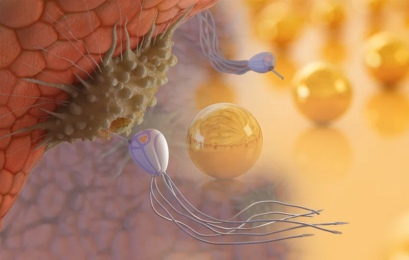 Impact of Gold Nanoparticles on Cancer Therapeutics
