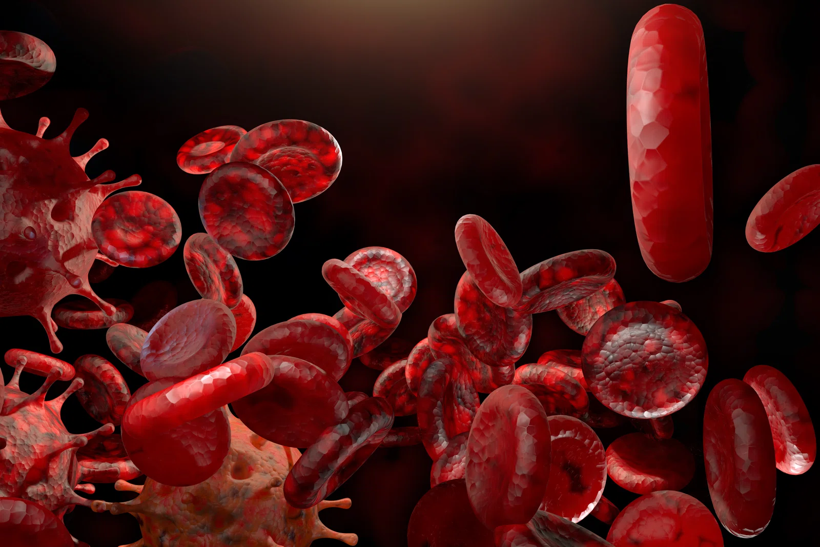 Nipping Post-transplant Infections in the Blood