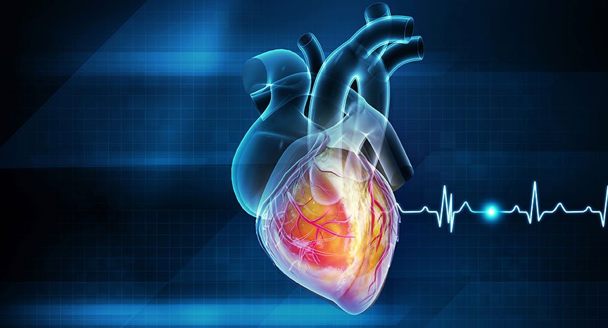 Advancing Cardiovascular Health and Wellness