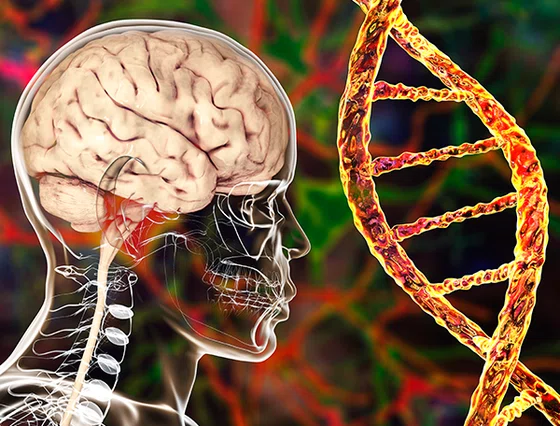 Spinocerebellar ataxias: Challenges and Future perspectives