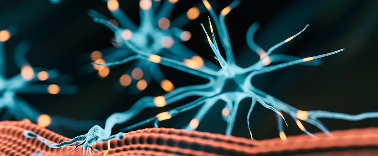 New Procedure Can Restore Function in Severed Facial Nerves Within Minutes