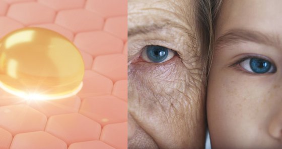 Cellular Anti-Aging Therapy